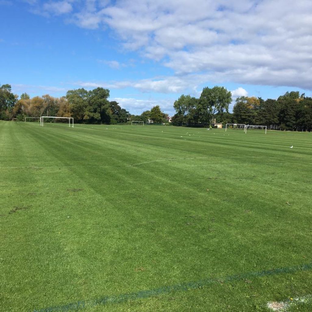 Grassroots Starts With The Grass! – FC Rangers Junior Football Club