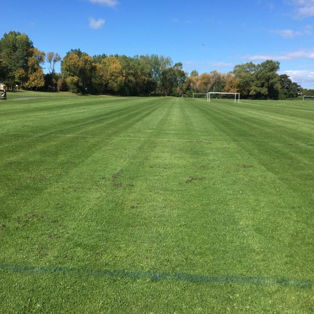 Grassroots Starts With The Grass! – FC Rangers Junior Football Club